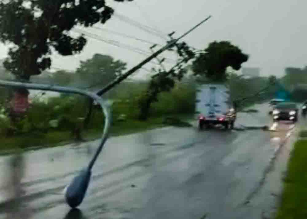Pohon Dan Tiang Listrik Roboh, Lalin JL Deandels Golokan Macet ... Pohon Dan Tiang Listrik Roboh, Lalin JL Deandels Golokan Macet ...